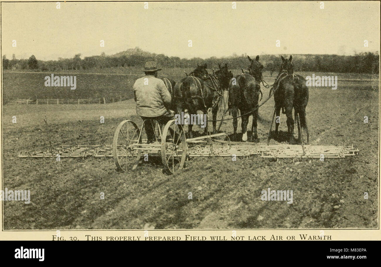 The 'Corn Book for Young Folk' (1920) is an educational guide aimed at ...