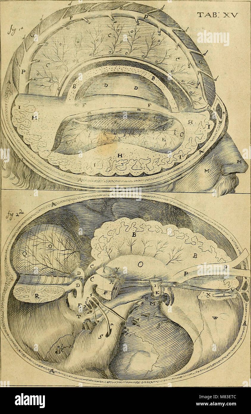 'Corporis Humani Disquisitio Anatomica' (1651) by Jean Riolan presents ...
