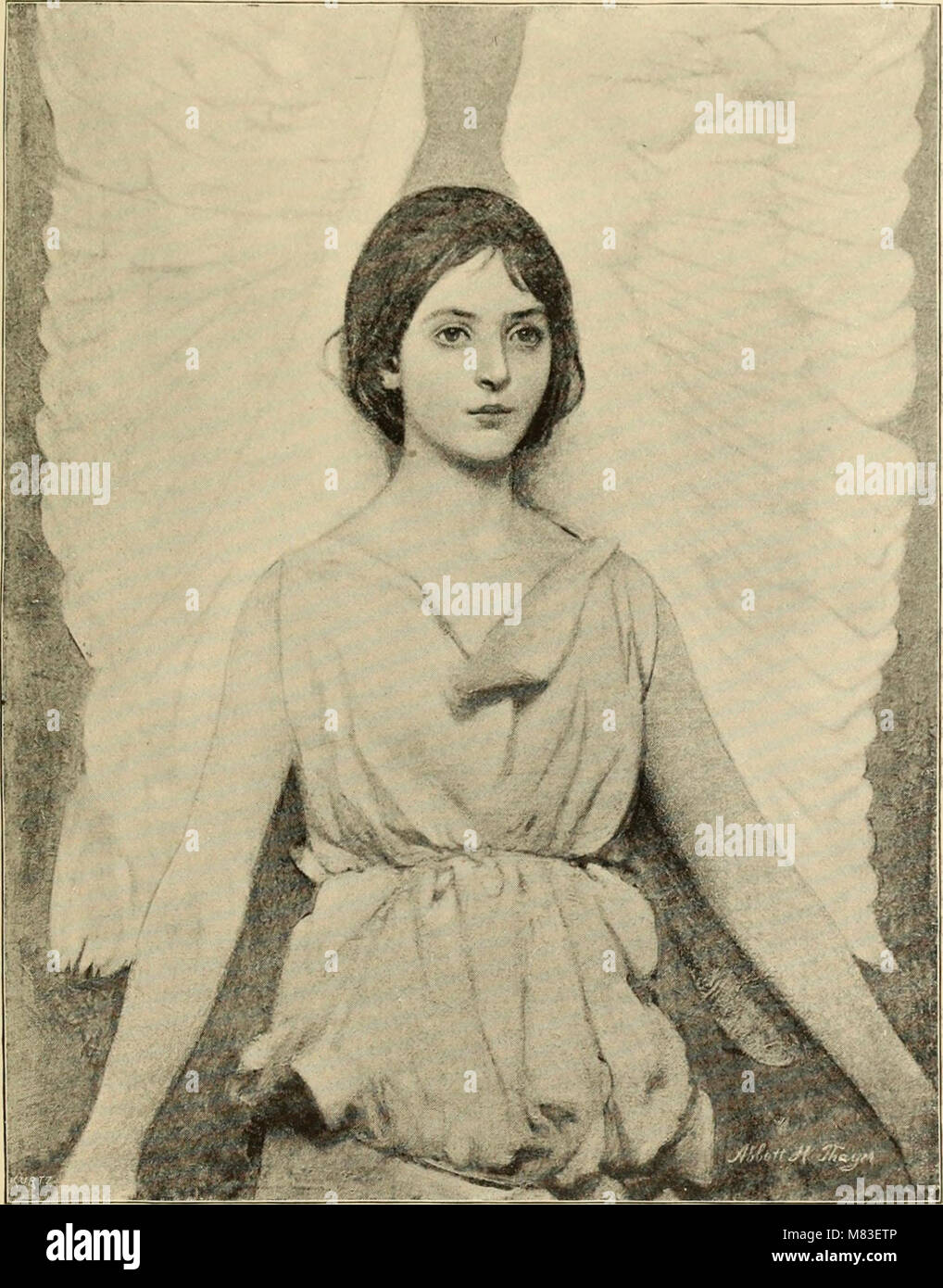 Abbott handerson thayer hi-res stock photography and images - Alamy