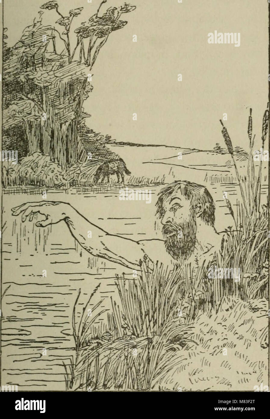 'Cossack Fairy Tales and Folk-Tales' (1894) is a collection of ...