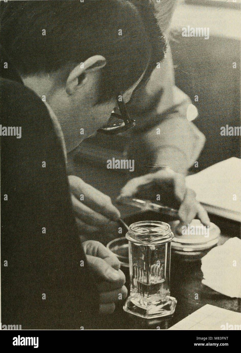 The 1974 course catalog provides detailed information about academic programs, course offerings ...