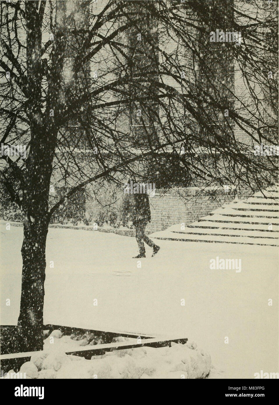 The 1974 course catalog provides detailed information on academic programs, courses, and degree ...