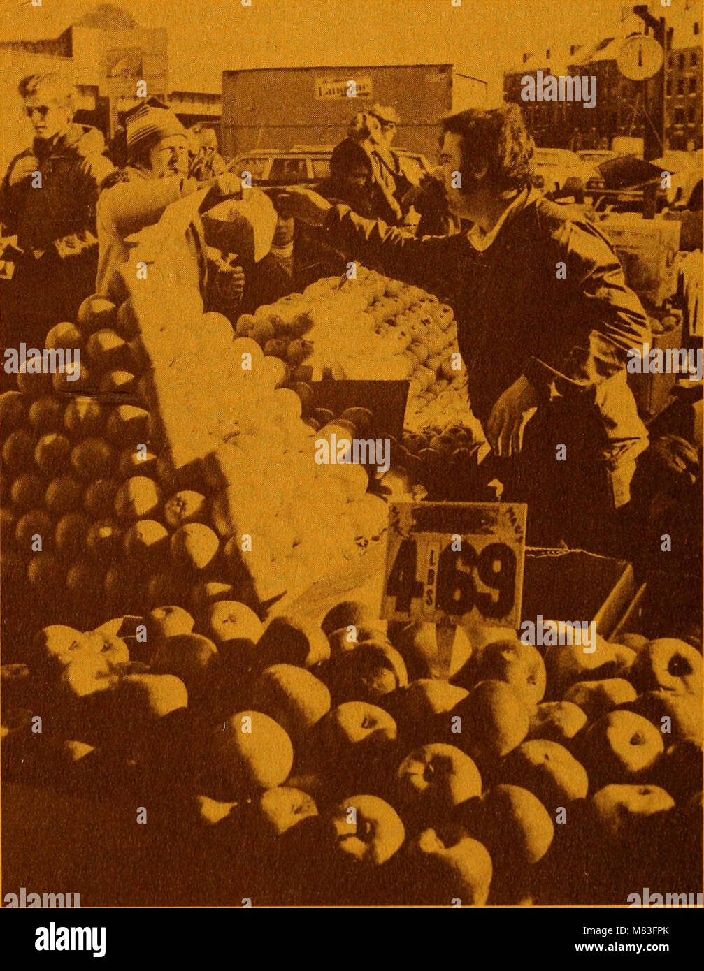 The 1974 course catalog offers detailed listings of academic courses ...