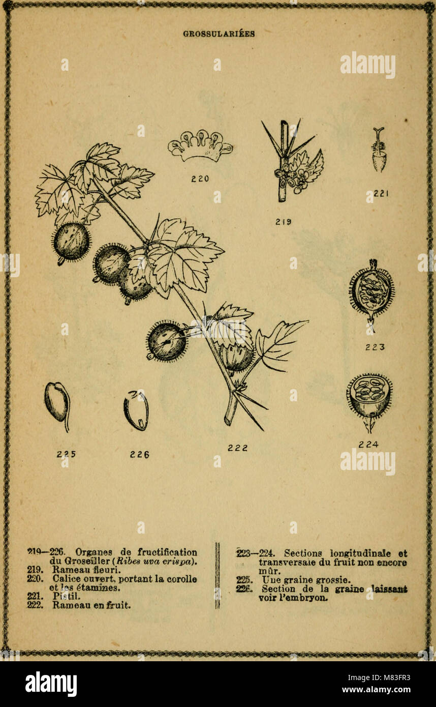 This 1871 botanical course covers the flora of Canada, focusing on ...