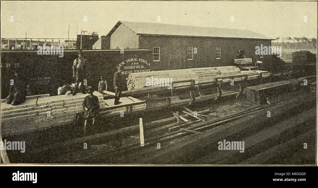 The 1900 report on creosoted timber explores the use of creosote ...