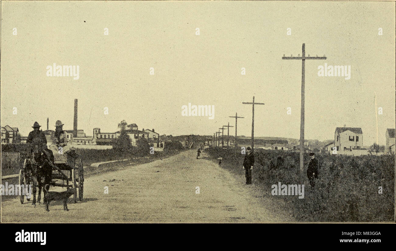 Creosoted timber hi-res stock photography and images - Alamy