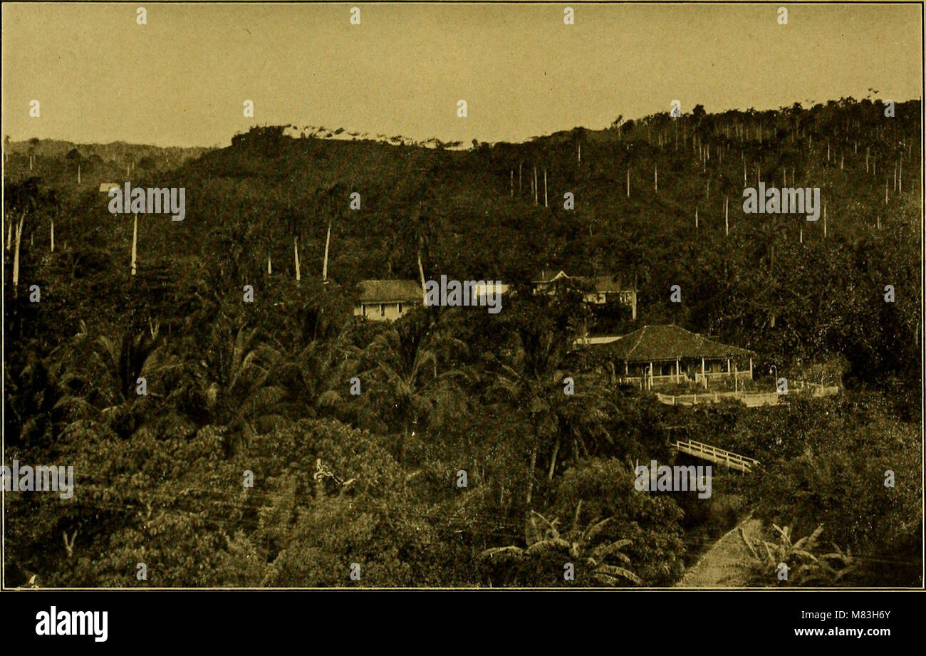 This work provides an in-depth look at Cubaâ€™s history and social ...