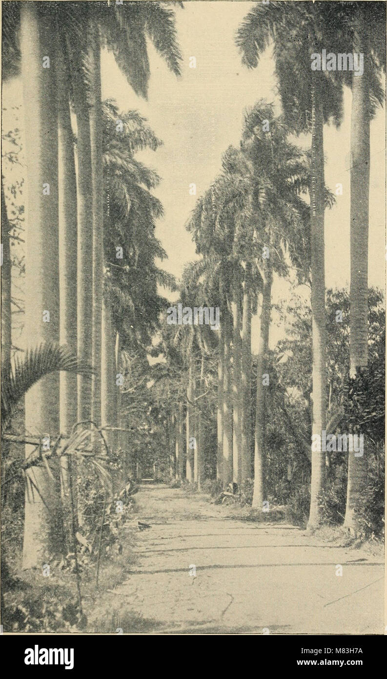 *Cuba and the Fight for Freedom* (1896) details the history of Cuba's ...
