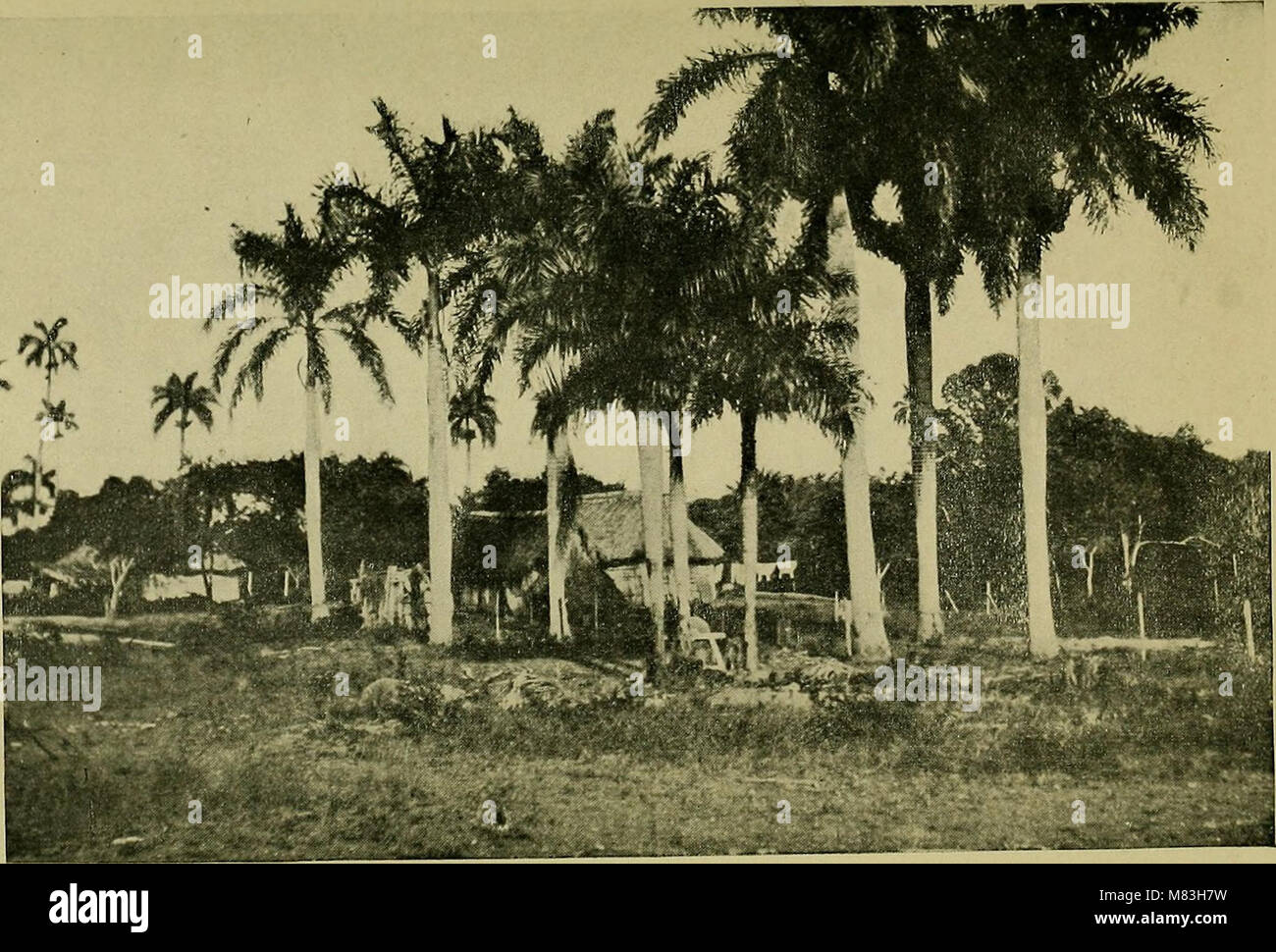 This 1920 book discusses the historical and cultural development of ...