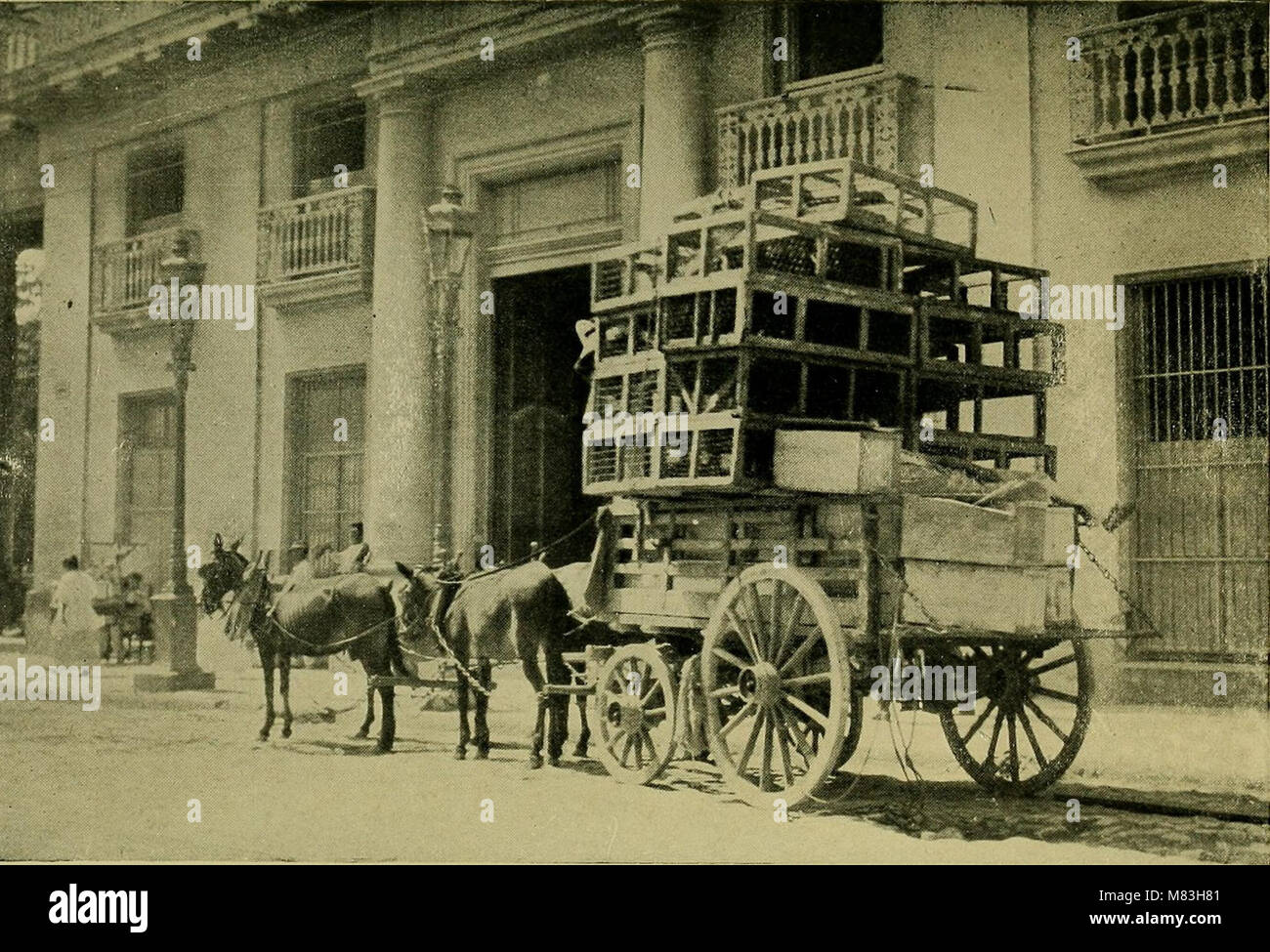 Cuba past and present (1920) (14754522596 Stock Photo - Alamy