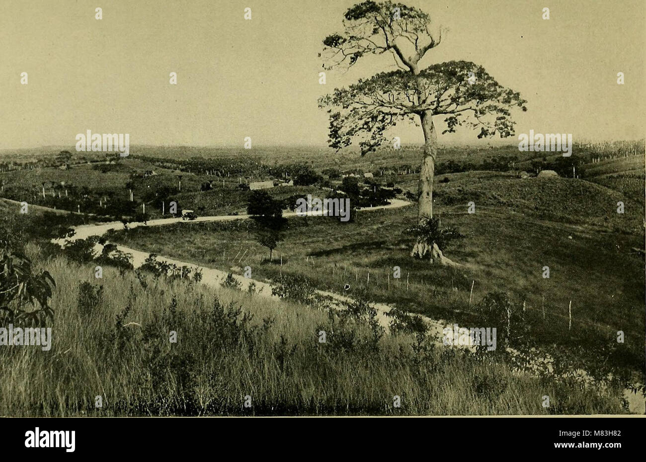 'Cuba Past and Present' (1920) provides an in-depth analysis of Cubaâ ...