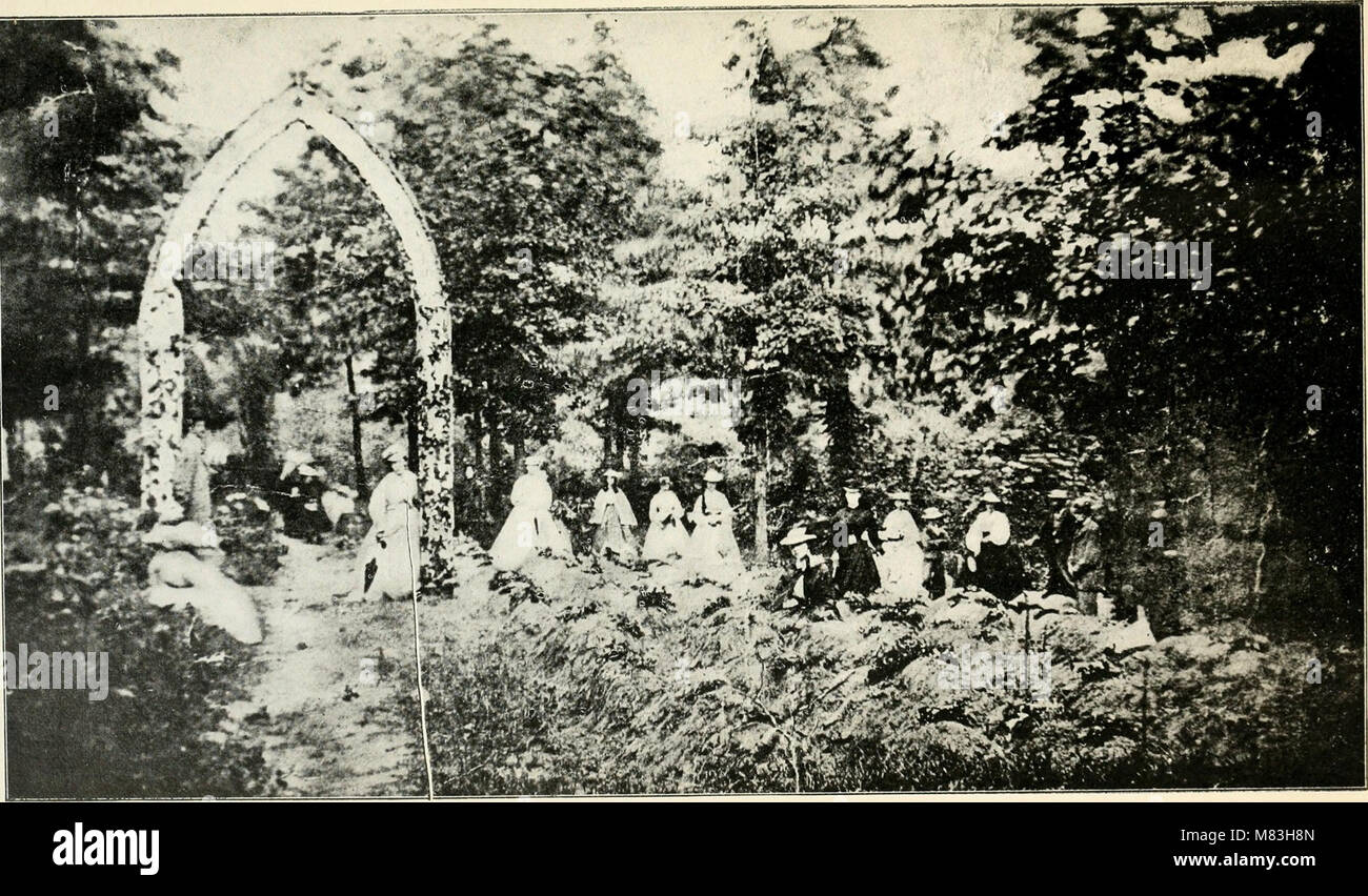 Cullings from the confederacy. A collection of southern poems, original ...