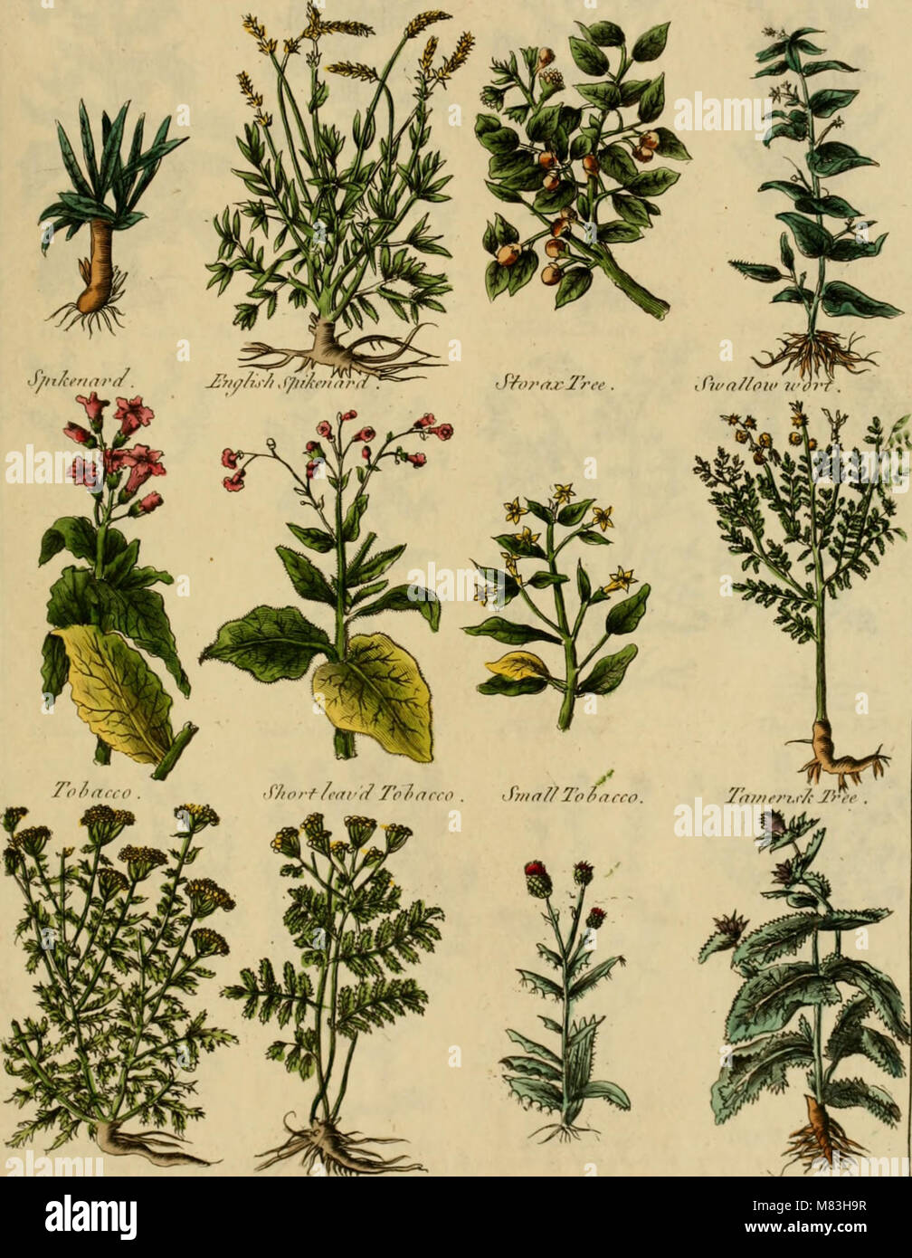 A 1789 edition of Culpepper's influential herbal medicine guide ...