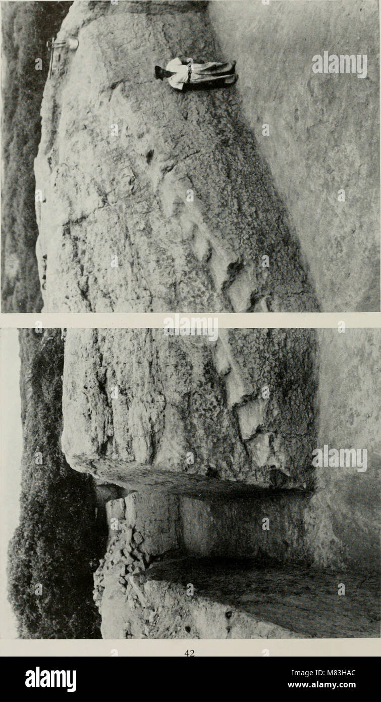 Viru valley hi-res stock photography and images - Alamy