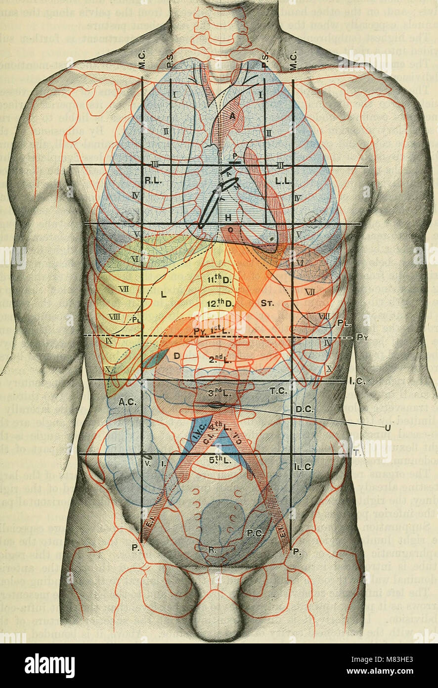 Cunningham's 1914 'Text-book of Anatomy' is a detailed reference work ...