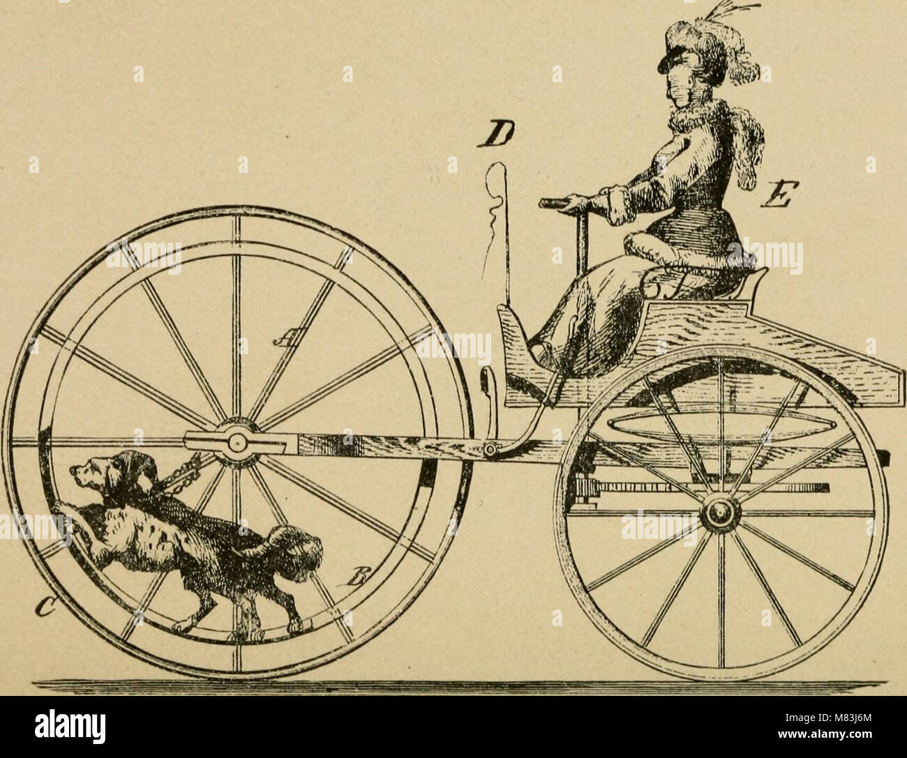 'Cycling Art, Energy and Locomotion' (1889) discusses the evolution of ...