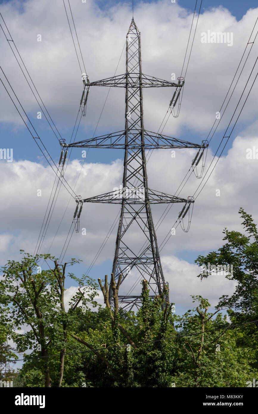 An electricity pylon rising above the trees in London Stock Photo - Alamy