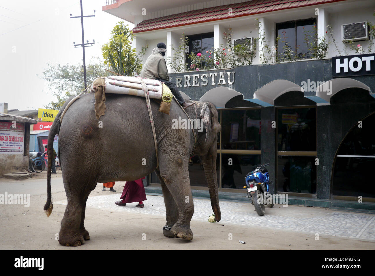 Man riding an elephant hi-res stock photography and images - Alamy