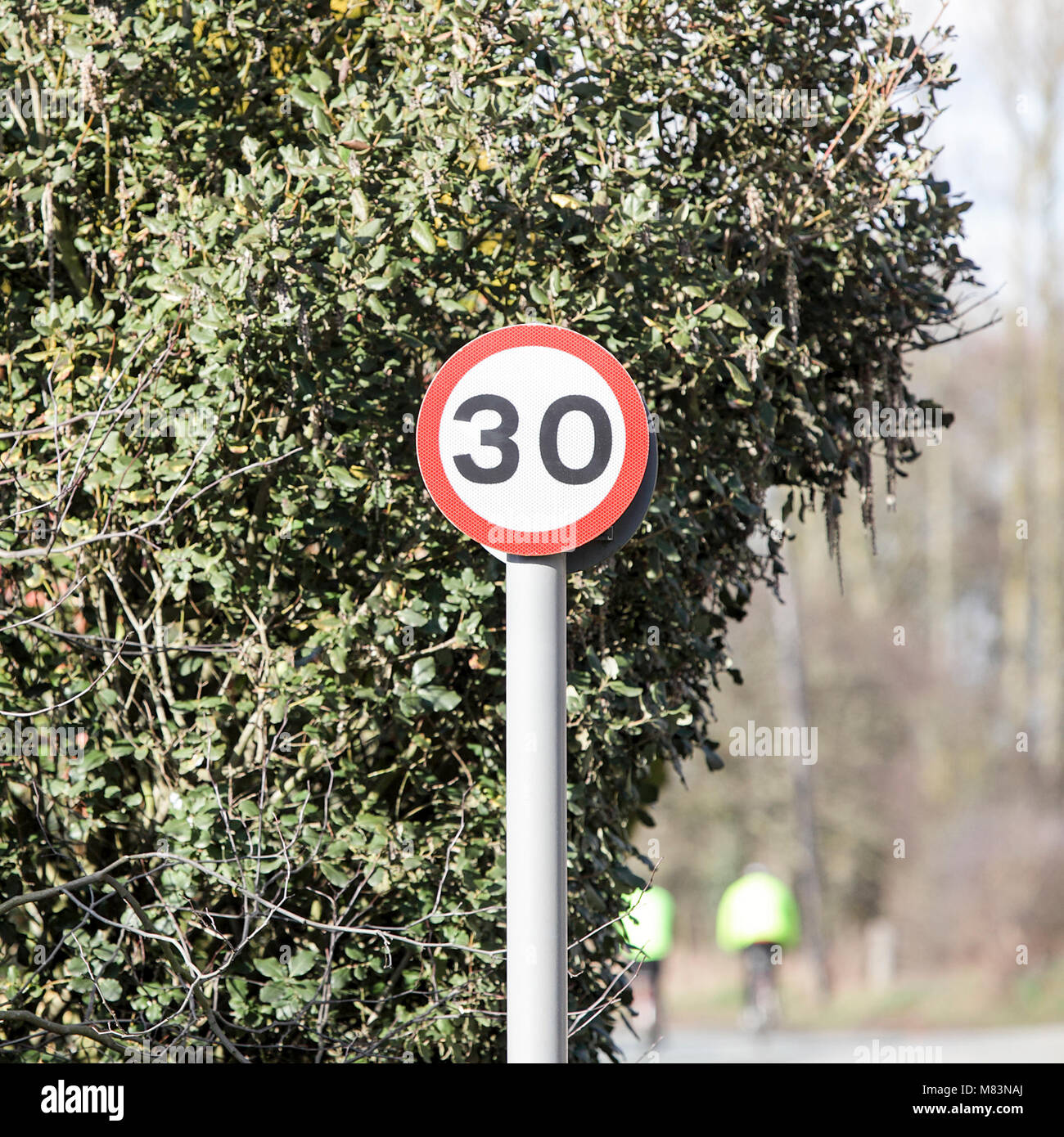 One of (30) images in this set related to plant-life, road signs ...