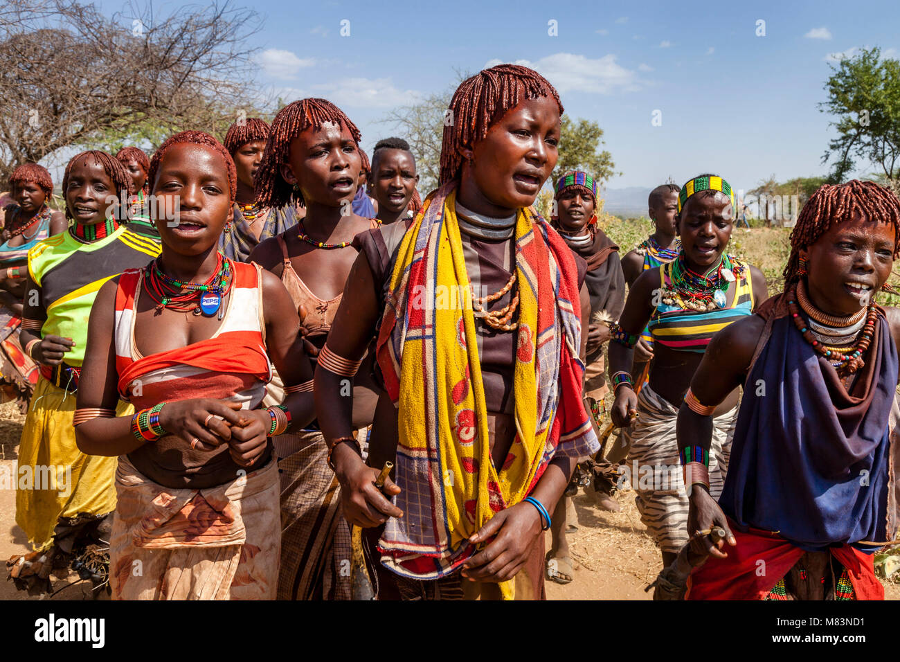 Hamar Tribe Women At A Bull Jumping Ceremony, Dimeka, Omo Valley ...