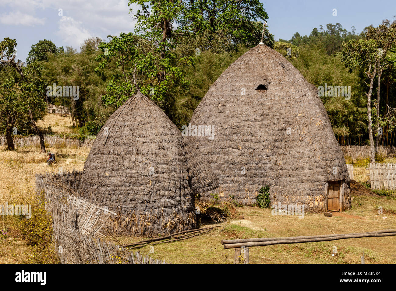 Traditional Dorze House, Guge Mountains, Southern Nations and Peoples ...