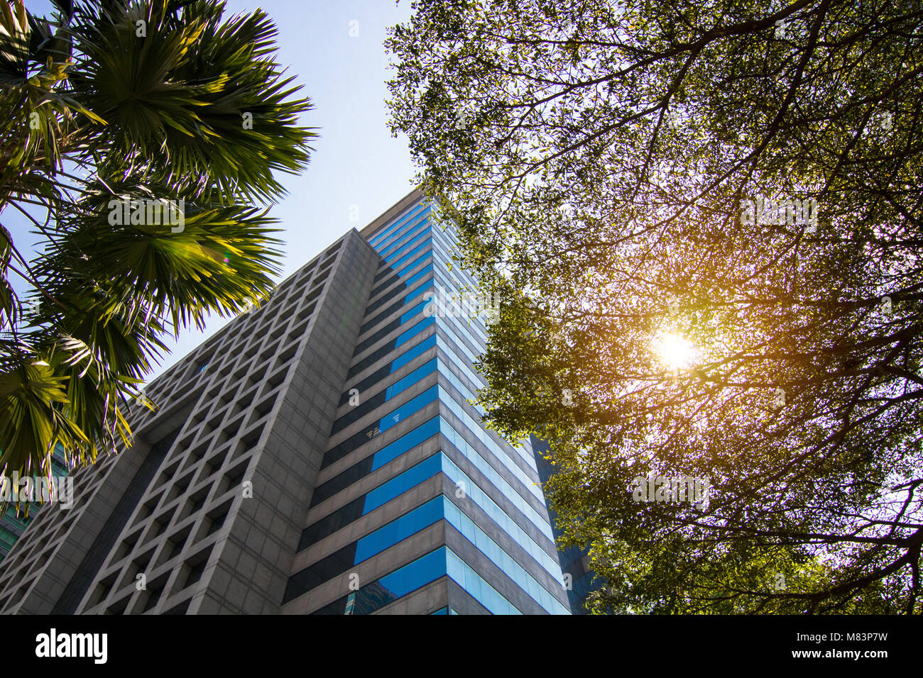 Good environment hi-res stock photography and images - Alamy