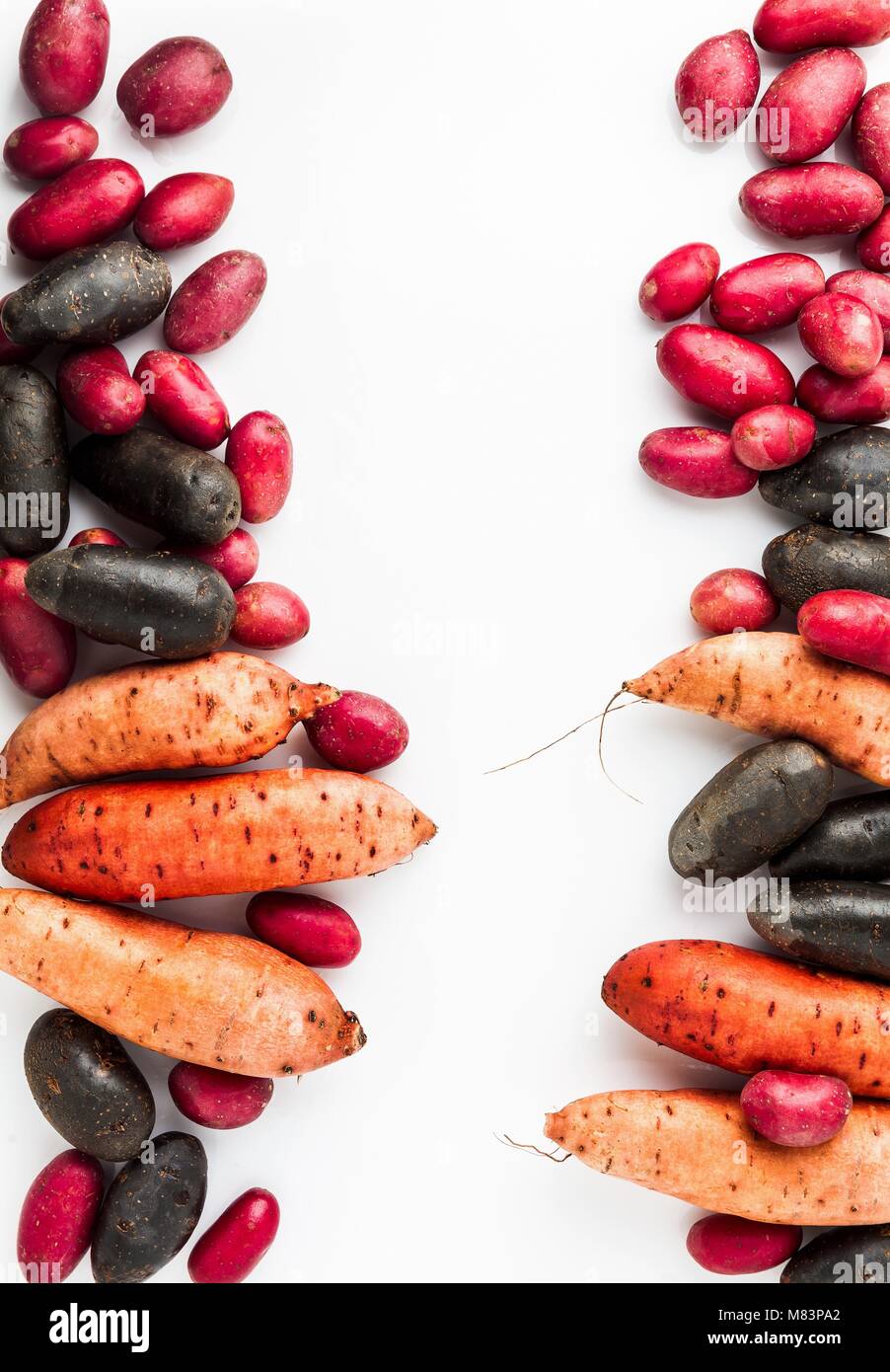 Different varieties in form and color of potatoes on a white isolated ...