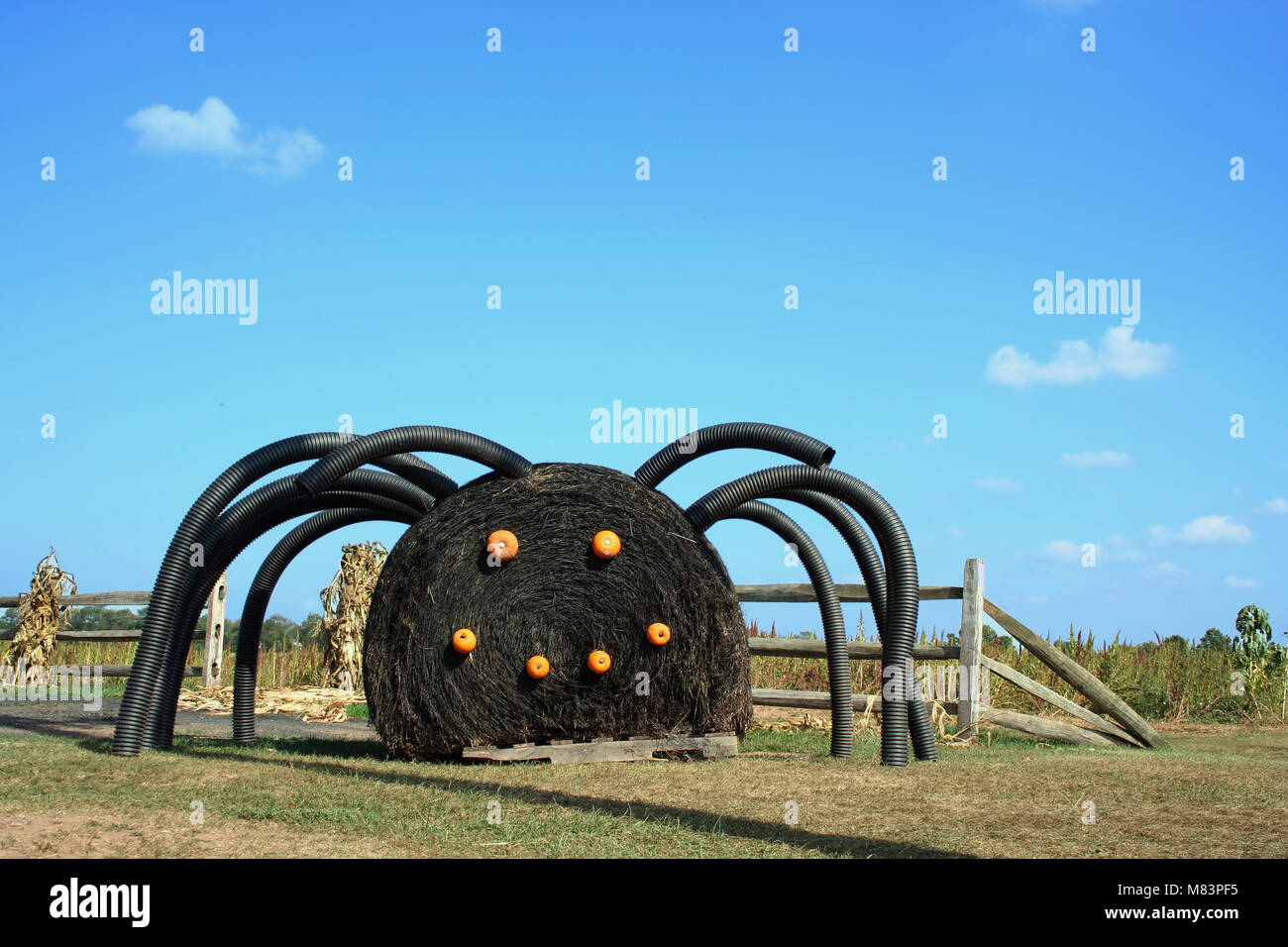 A Black Spider made from a hay bail Stock Photo - Alamy