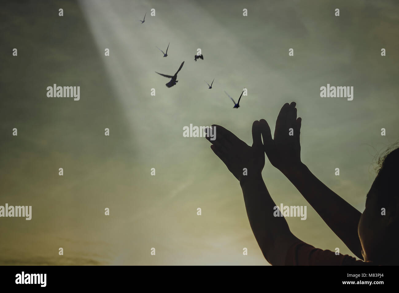 silhouette people making hand as bird and release birds to be freedom ...