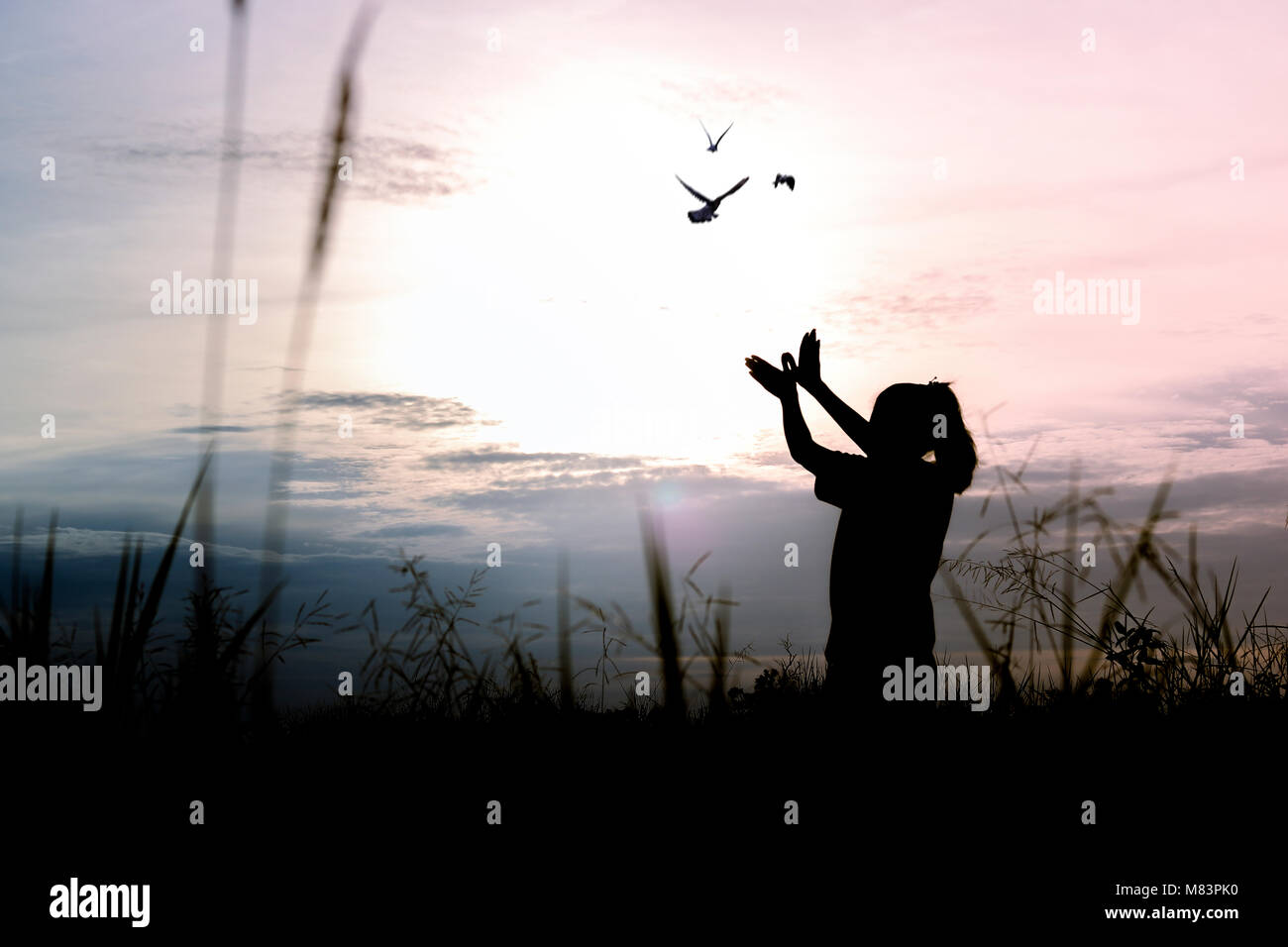 silhouette people making hand as bird and release birds to be freedom ...