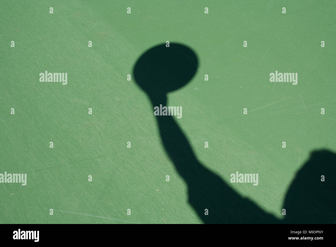 A Shadow Basketball player on a green court Stock Photo - Alamy