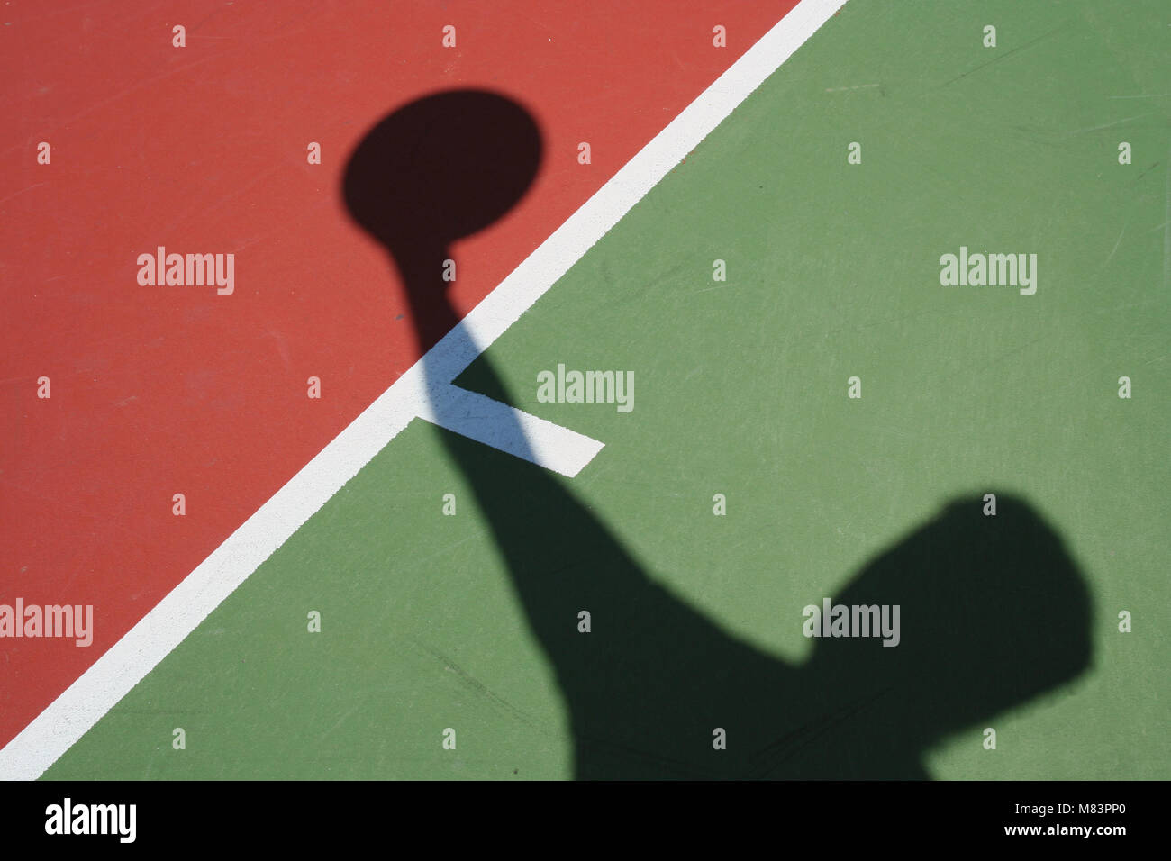 A Shadow Basketball player on a green court Stock Photo - Alamy
