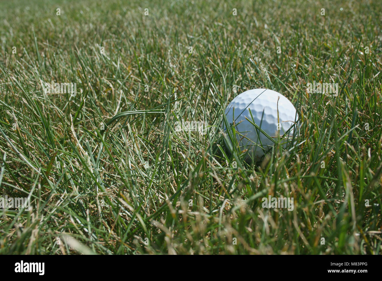 Golf ball in the rough hi-res stock photography and images - Alamy