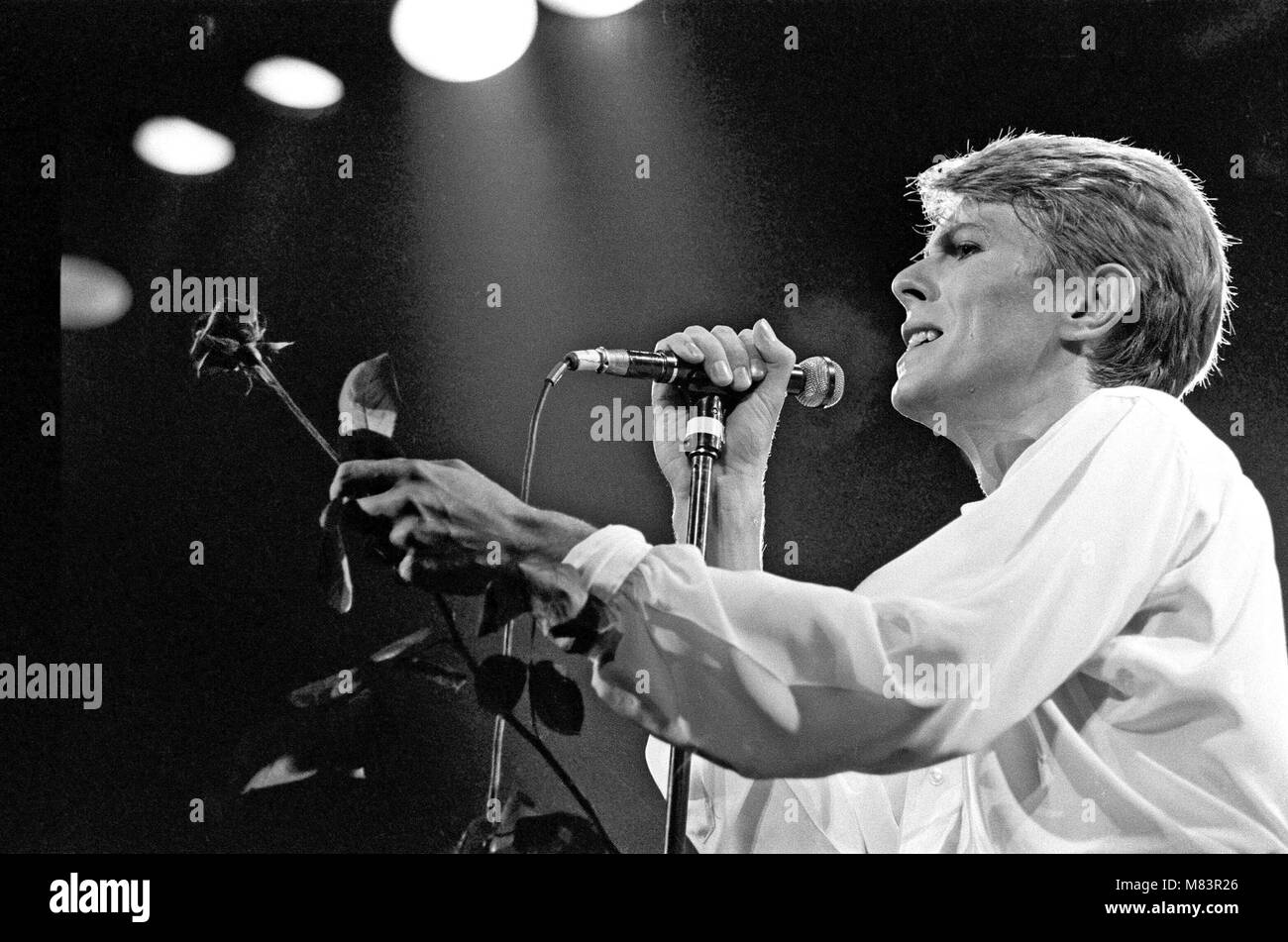 British pop singer David Bowie performing on stage during his concert ...