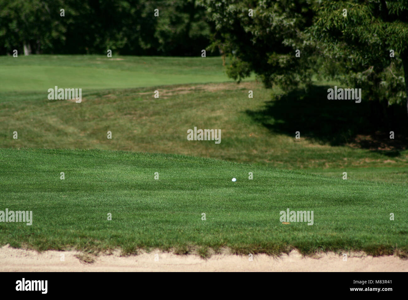 A Gold Ball on the fareway with sand trap Stock Photo - Alamy