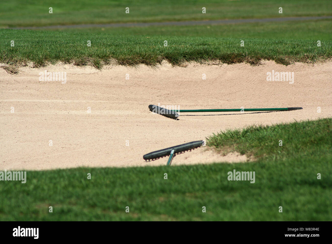 Two Rakes in a sand trap near the green Stock Photo - Alamy