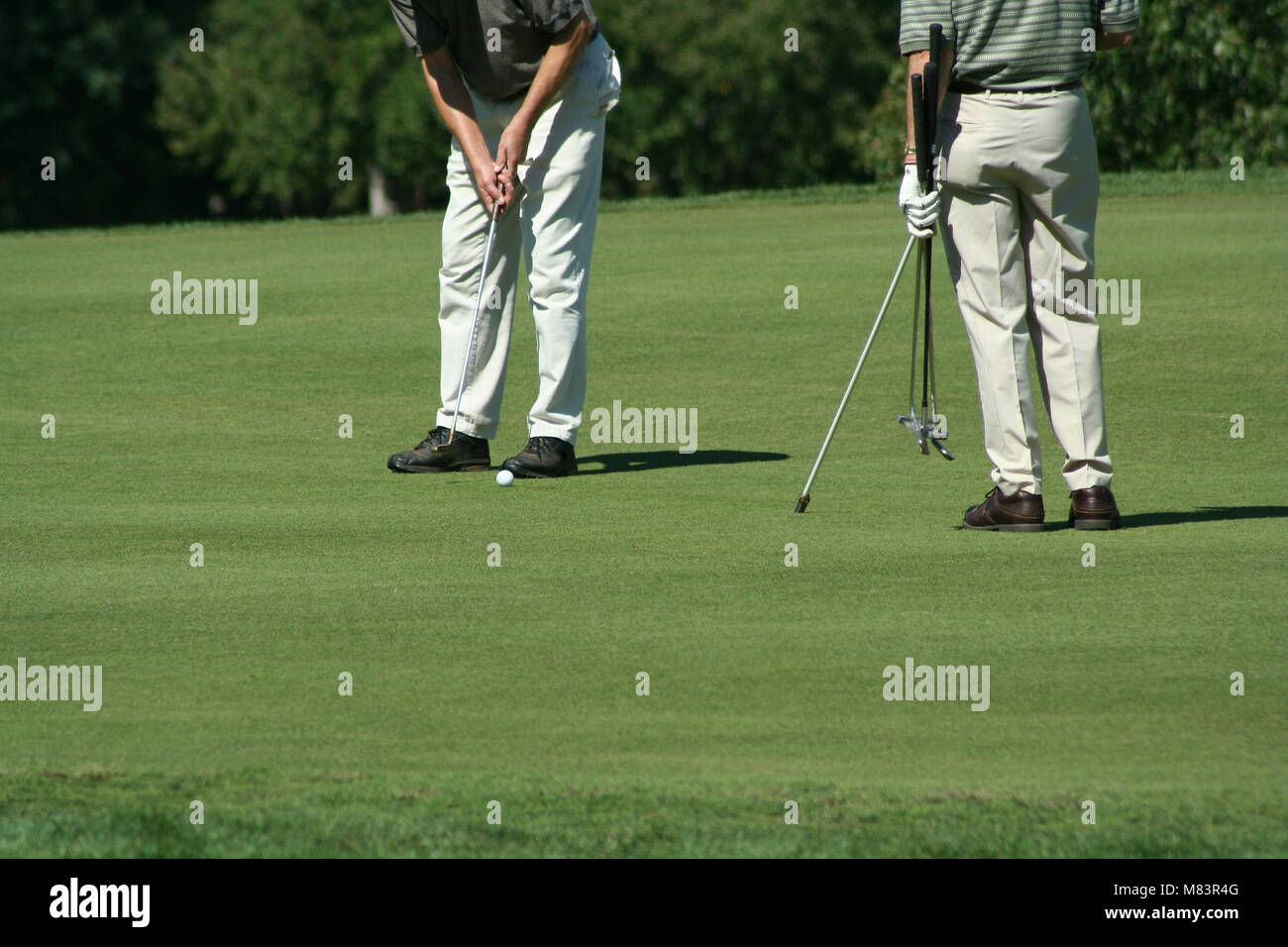 Two men on the green putting Stock Photo - Alamy