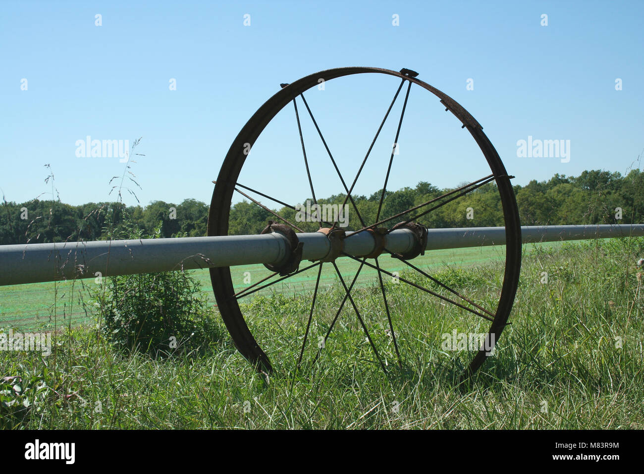 A Farm irrigation sprinkler with blue sky Stock Photo - Alamy