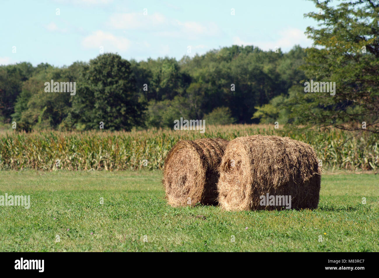 Two rolls bale harvesting hi-res stock photography and images - Alamy