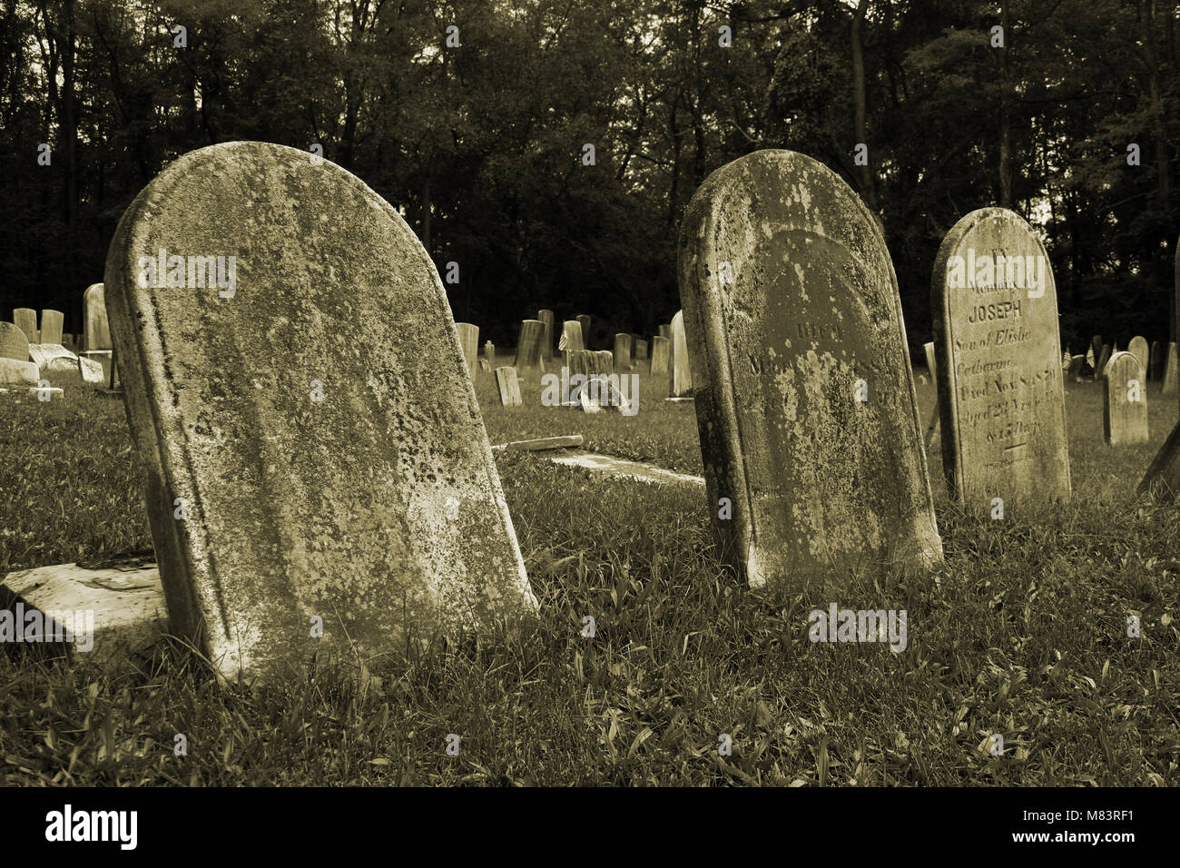 Old Gravestones with grass in a graveyard Stock Photo - Alamy