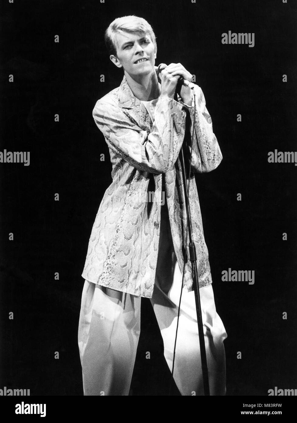 David Bowie performing. June 1978 Stock Photo - Alamy
