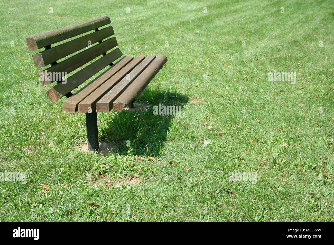 Wooden Park Bench in a field of grass Stock Photo - Alamy