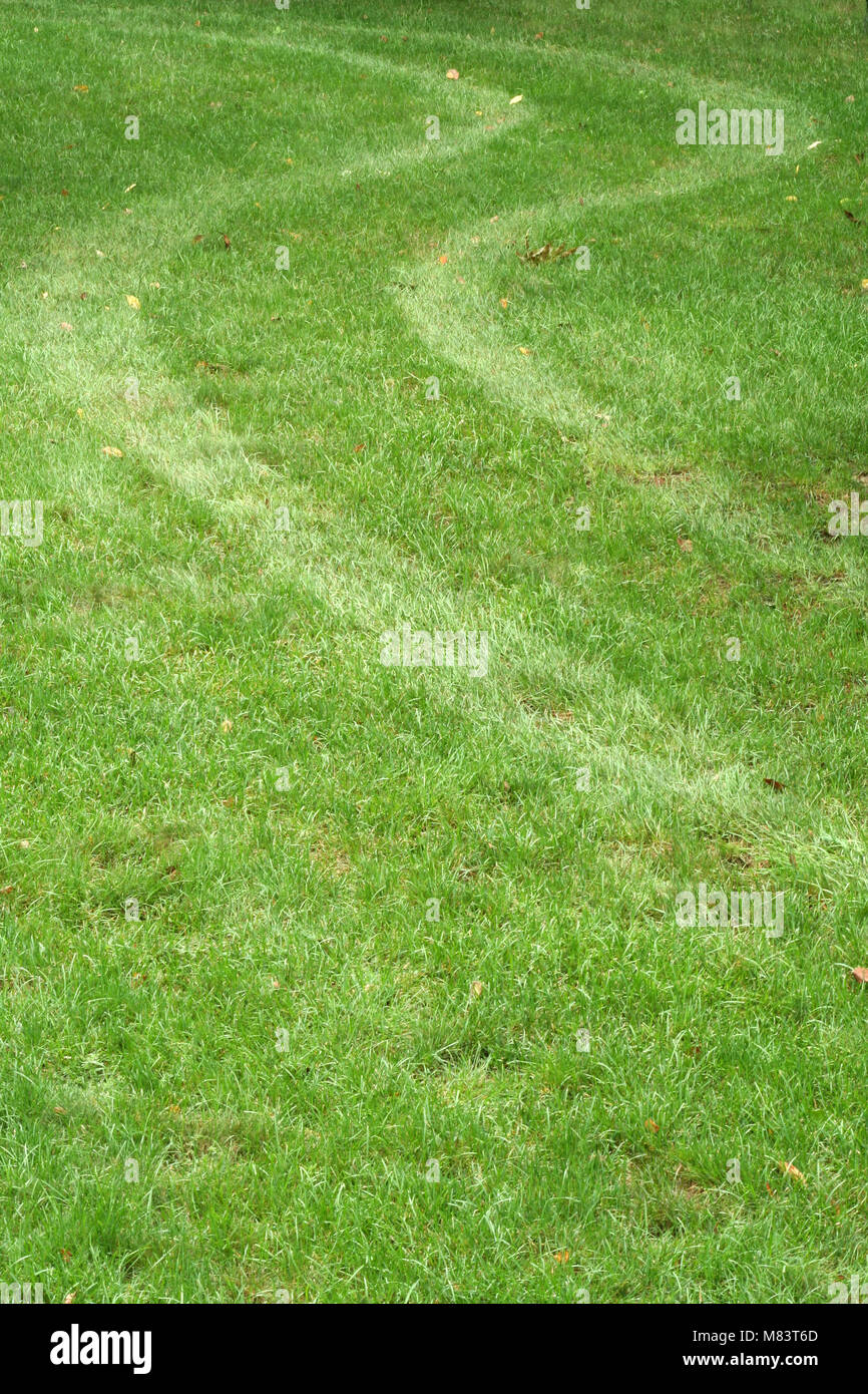 a set of Tire track in the grass Stock Photo - Alamy