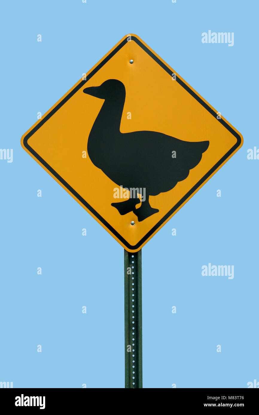 Duck crossing sign against a blue sky Stock Photo - Alamy