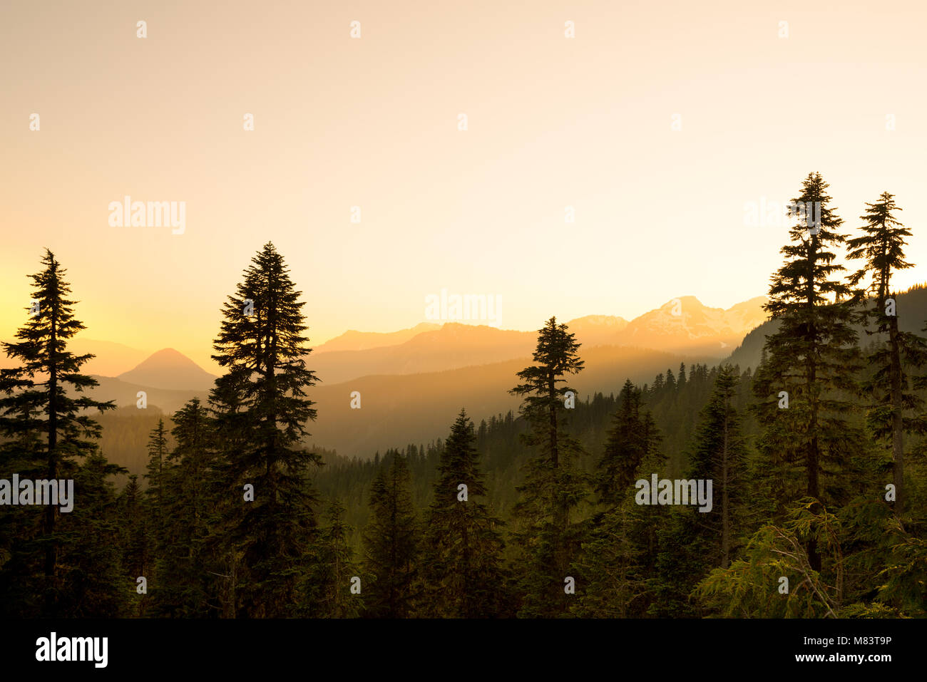 Panoramic view of Mount Rainier National Park, Washington State, USA ...