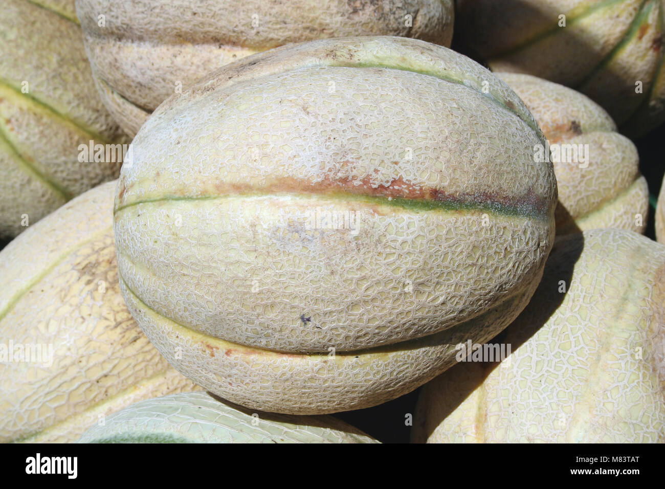 Melones hi-res stock photography and images - Alamy