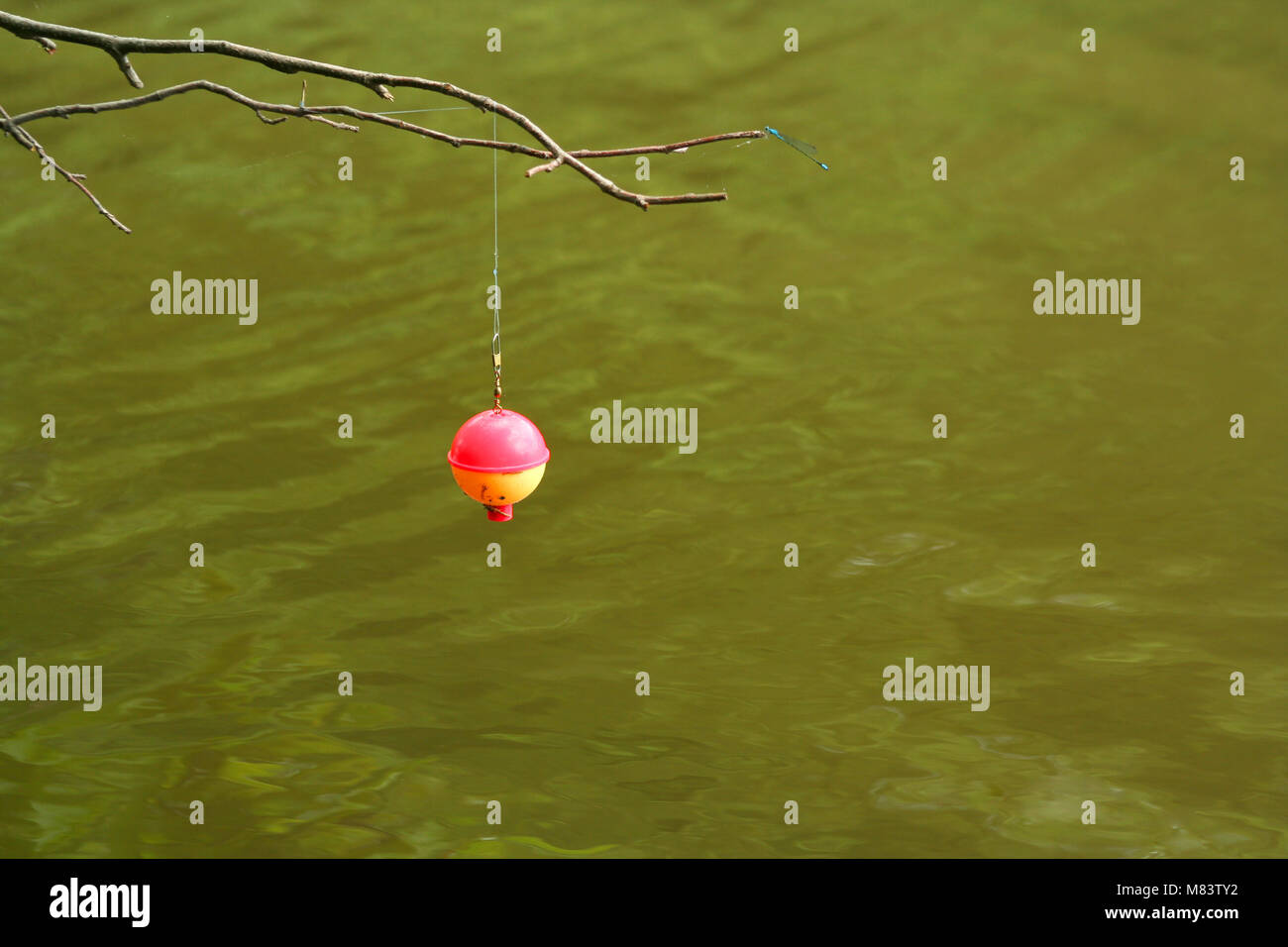 an image of a Hanging Fishing Bobber with dragonfly Stock Photo - Alamy