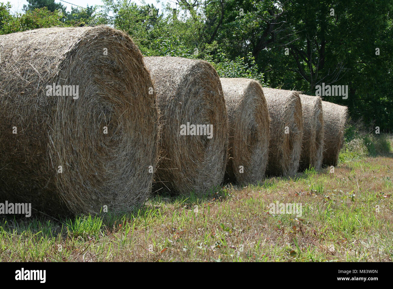 Country scene with hay rolls hi-res stock photography and images - Alamy