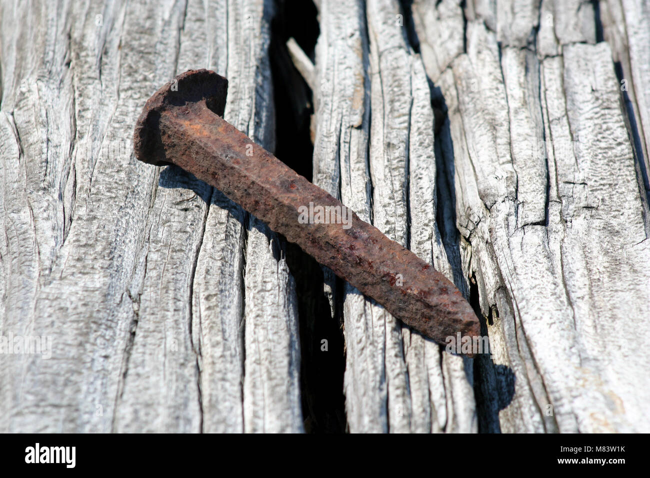 an image of a Railroad Spike Stock Photo - Alamy