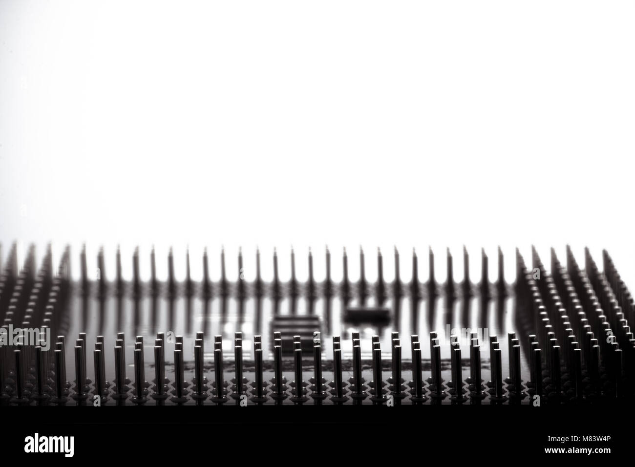 Microprocessor - closeup detail, white background Stock Photo - Alamy